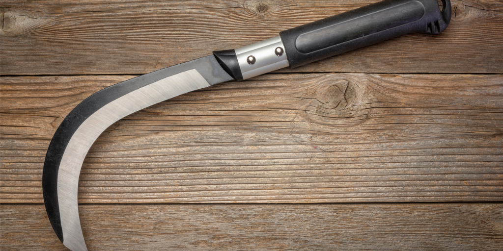 Sichel Test & Vergleich 2025 - Testsieger